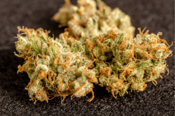 Unwinding With Sunset Sherbet Strain: A Comprehensive Review - 420 ...