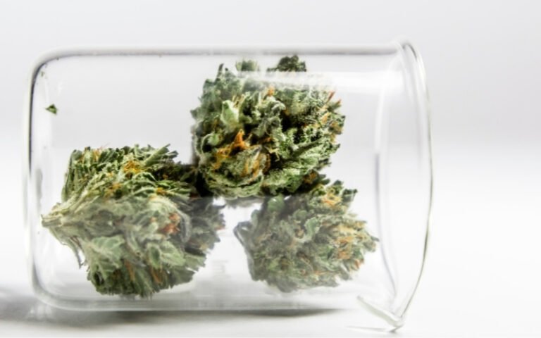 What Is The Dirty Sprite Strain? [Complete Weed Review]