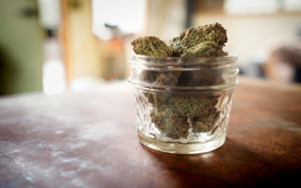 What Is Brown Weed And Is It Good For You?