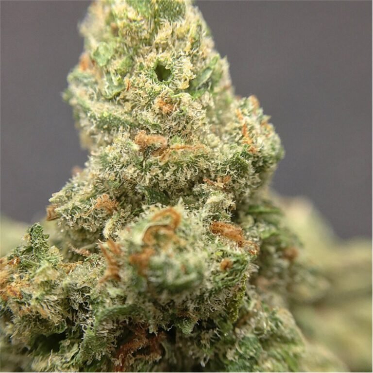 Read This Review Before You Try Garlic Cookies Strain