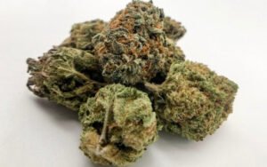 What Is Lemon G Strain – Complete Information And Review